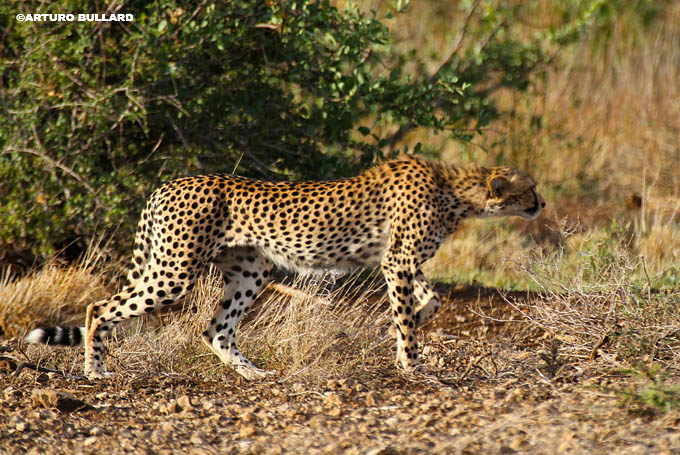 Viajes, Fotografía y Más: julio 2011