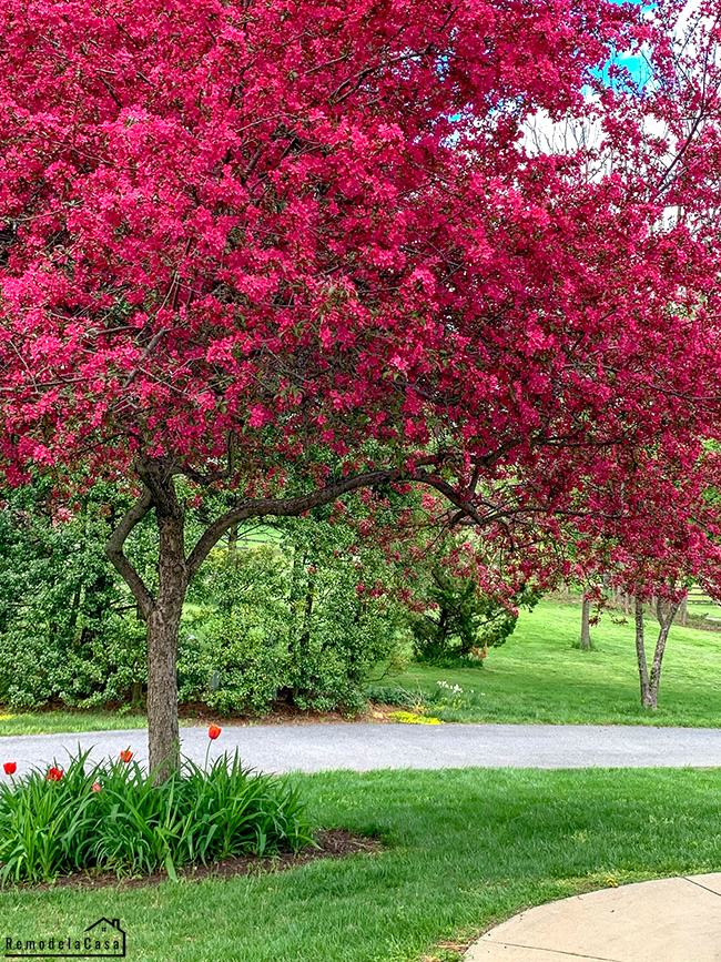 Beautiful Spring Colors - Remodelando la Casa