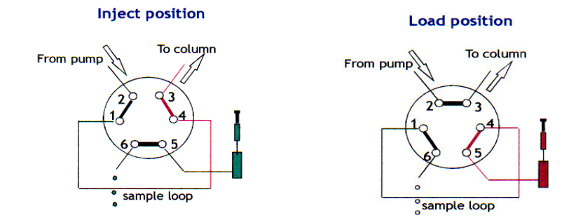 Health and Nutrition Corner: SUMMARY HPLC