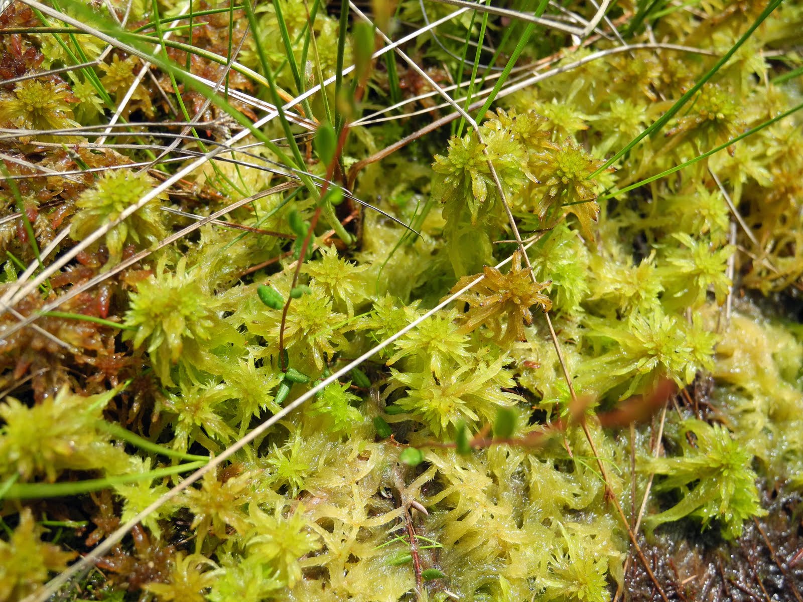 Written In Stone...seen through my lens: June 2011