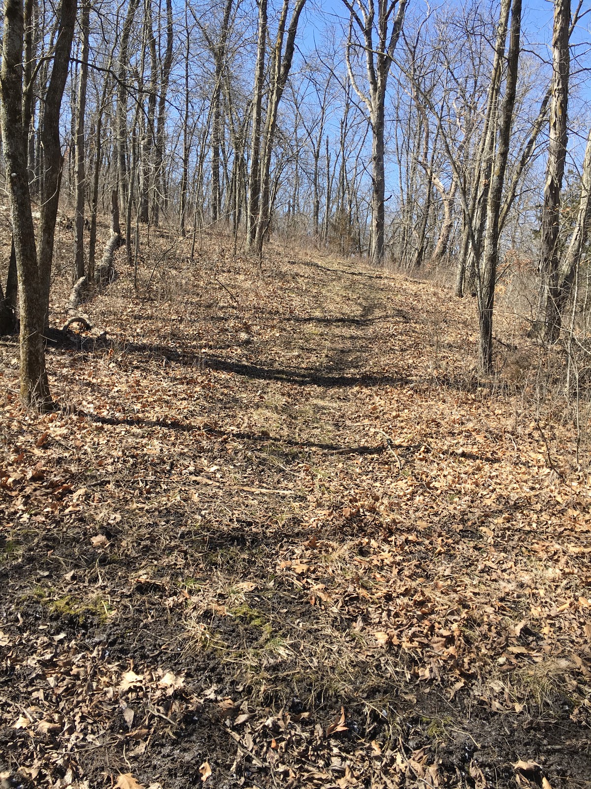Backpacking Stephens State Forest - Woodburn Unit West Loop