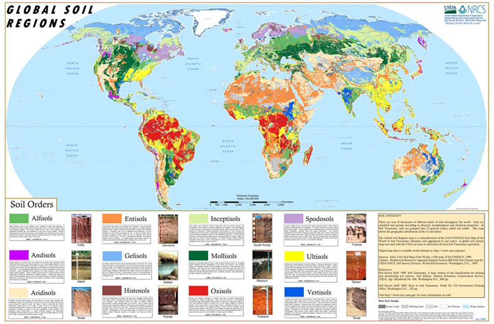 Environmental Science: Twelve Soil Orders