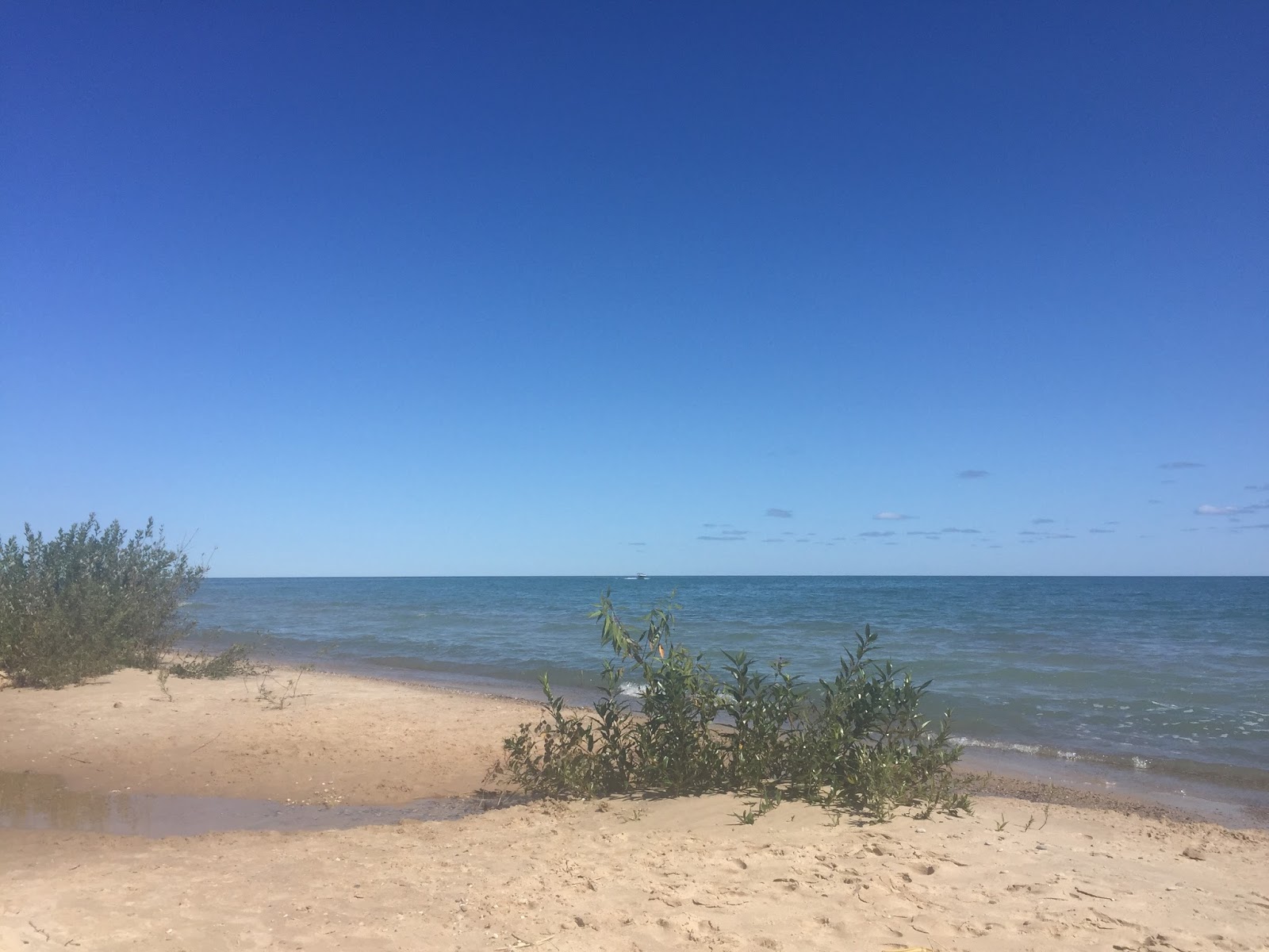 Travel Reviews & Information: Harrisville, Michigan / Harrisville State ...