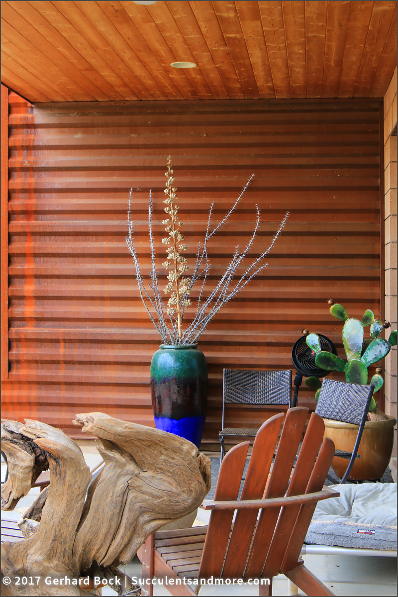 Tucson's Civano community: where I'd love to live