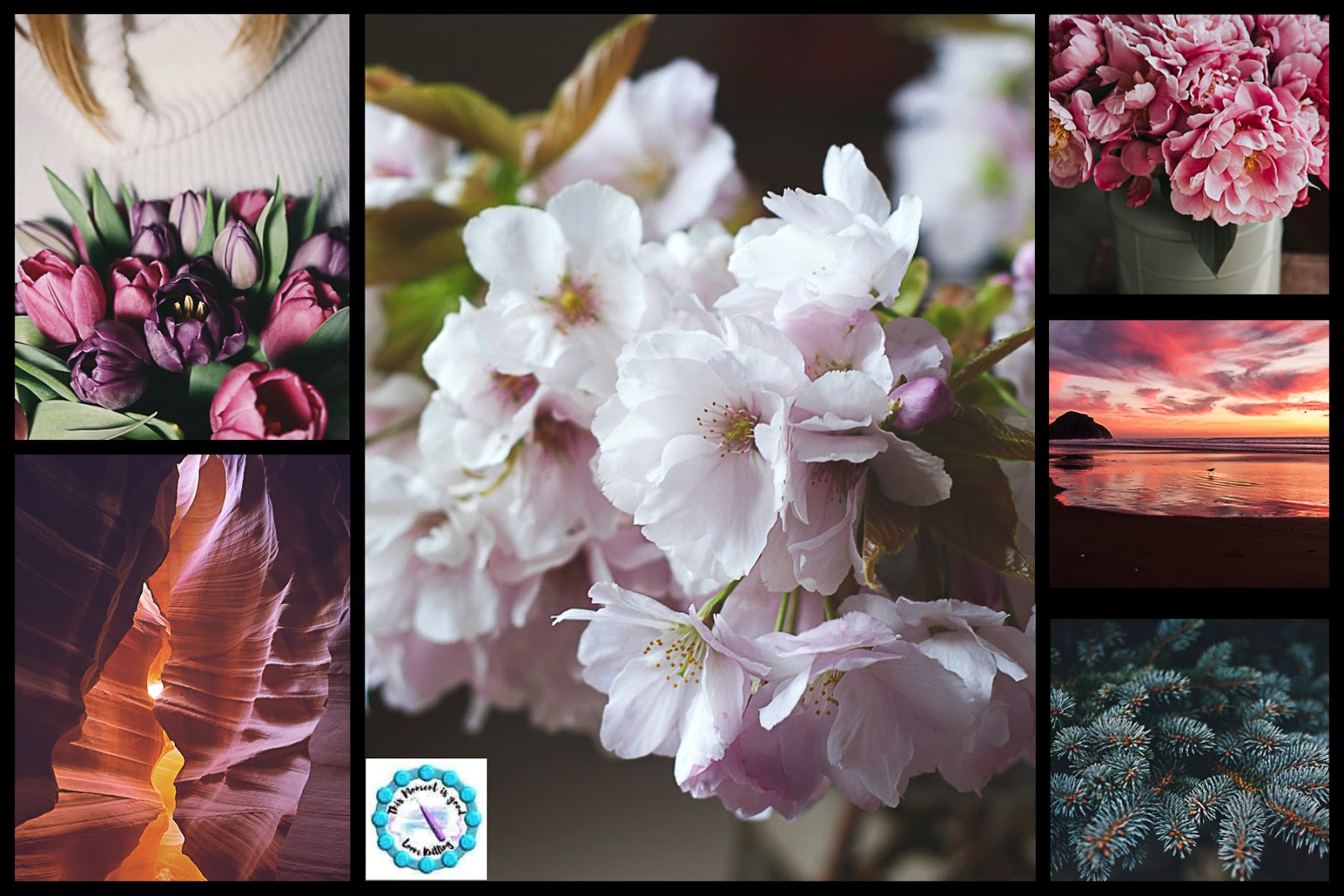 Finding Color Inspiration For Loom Knitters! | Loom Knitting by This ...