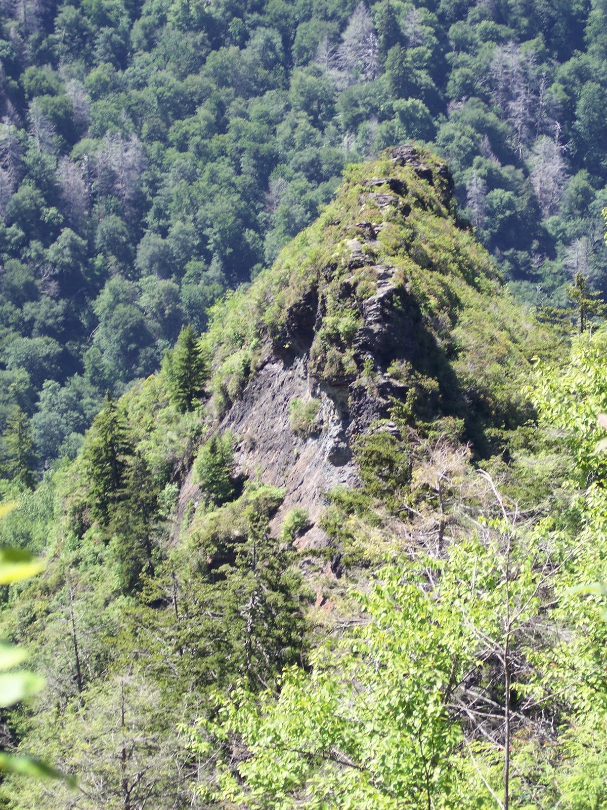 Greg Hoover: Little Duck Hawk Ridge (Part 1 of 3)