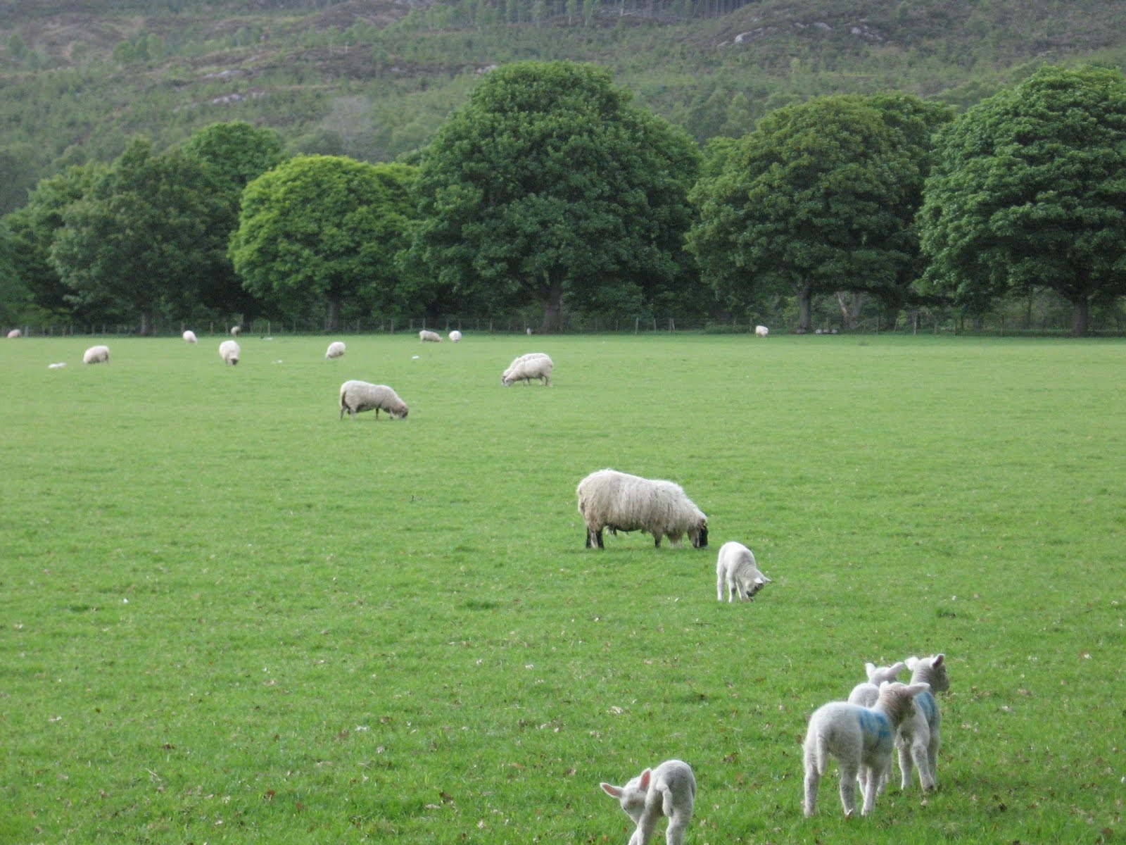 Simply Beautiful: Scotland