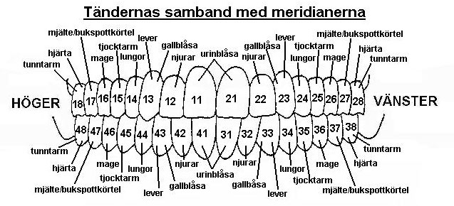 MERIDIANERNA - STORA KRETSLOPPET 1-12 | Elisabeths Blogg