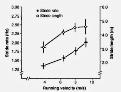 running commentary?: Running strides Part 1: ground and aerial contact ...