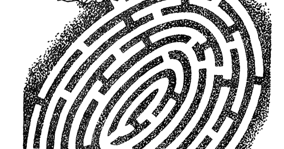 Planet of the Apes maze