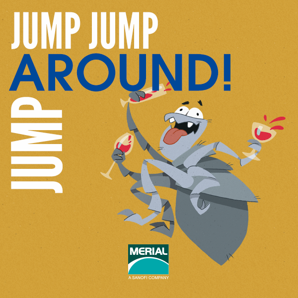 Playdays and Runways: How Often Do You Take Your Pet For A Checkup? | AD