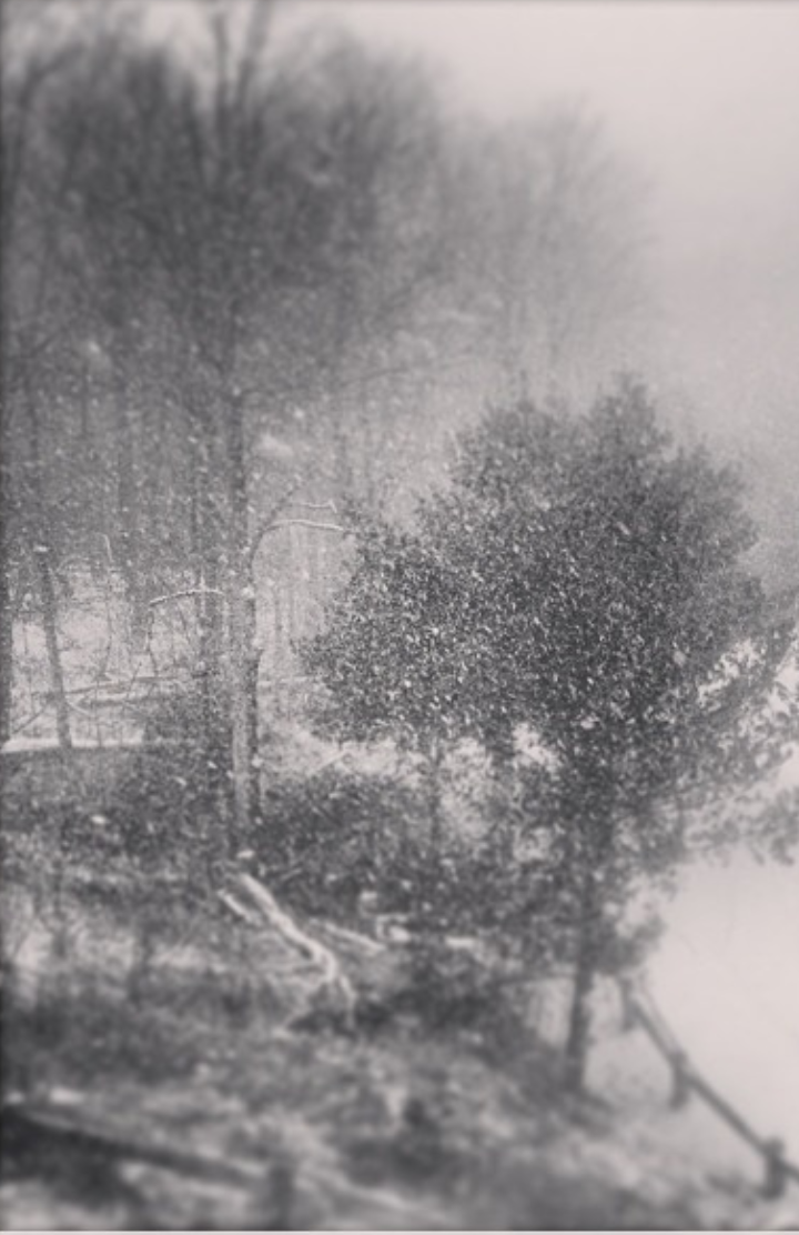 Lisa Davenport Designs: Snow Day Pizza!