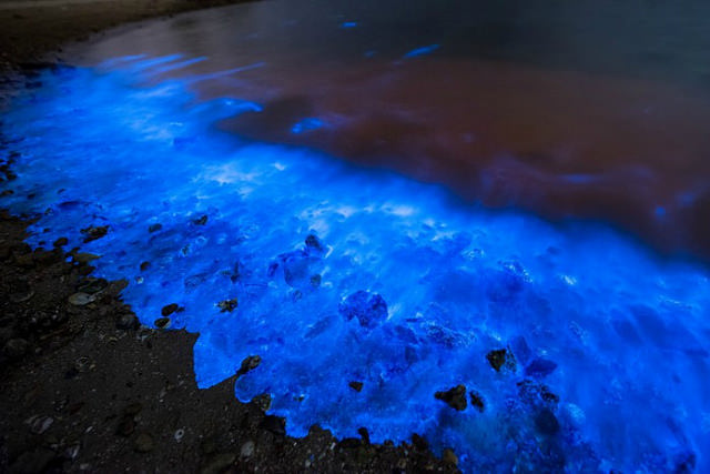 VISIONESDELAMATRIX: Olas azules, un espectáculo hipnótico de la naturaleza