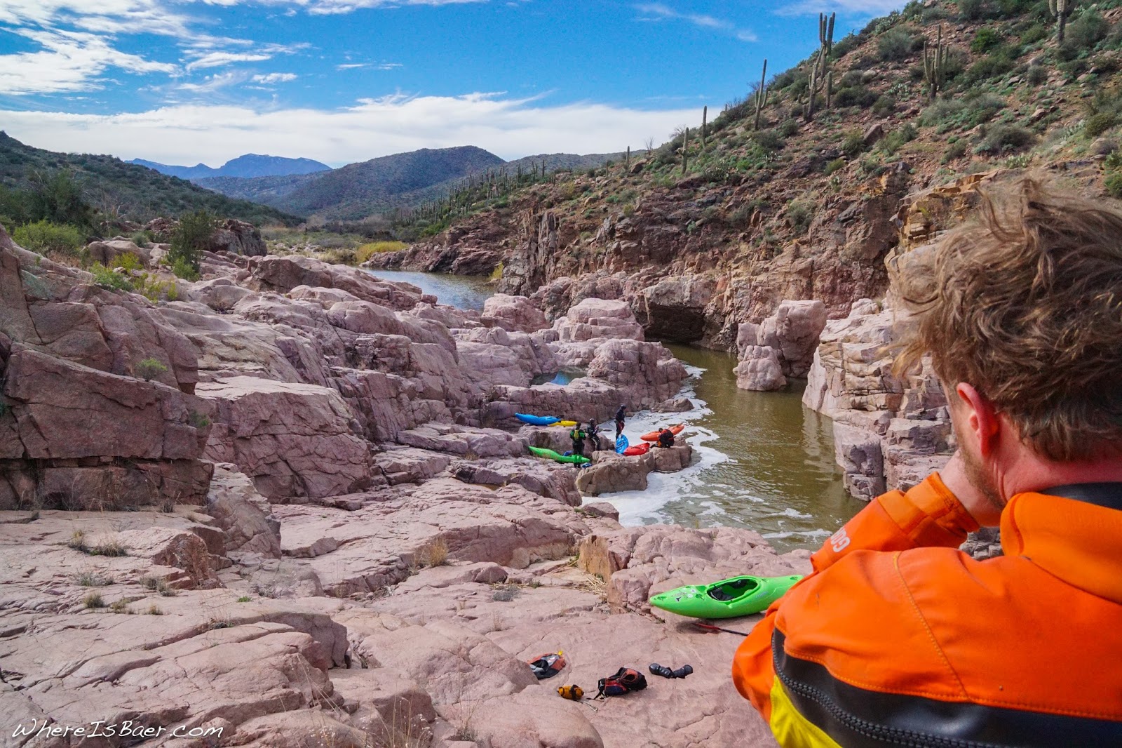Where Is Baer ? : Class Tree in Arizona, Christopher Creek and Hell’s Gate