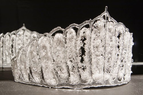 Kate Clements | CURIOSITE