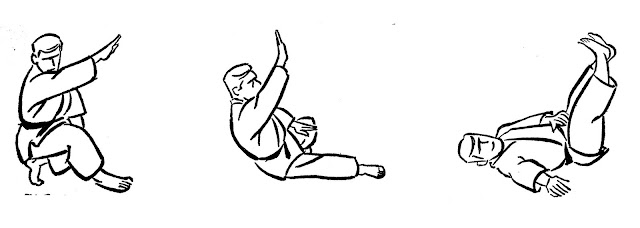 WINTER HAVEN JUDO CLUB: JUDO BREAK FALLING TECHNIQUES
