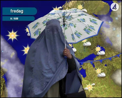 mdolla: 13 Funniest Weather Forecasts