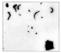 Chemical Chase Impressions: How to control Stickies and pitchy on paper ...