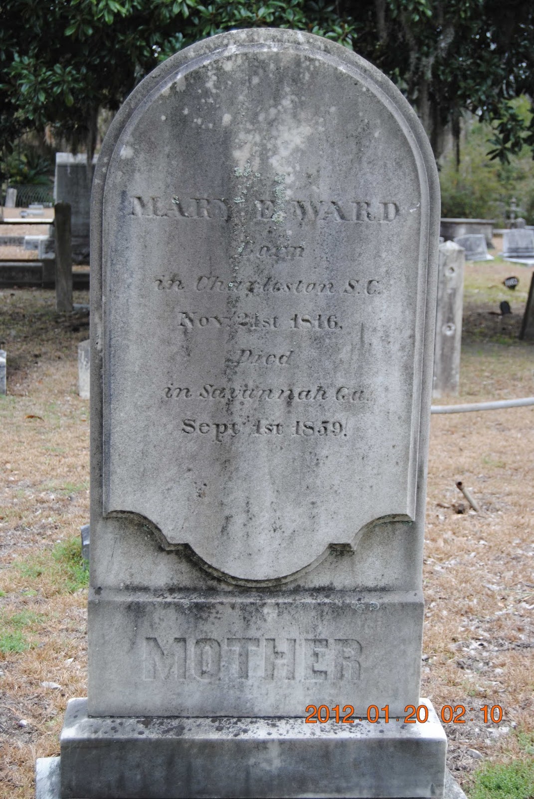 Our Ward - errrr - Gleason Family Tree