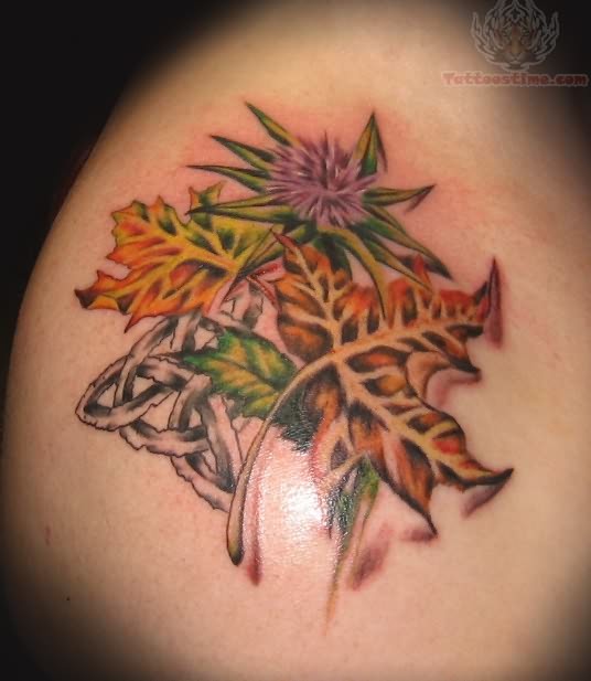 Celtic Maple Leaf Tattoo | Best Art Designs