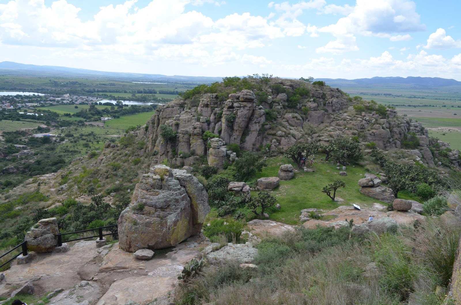 El Jardin de la Republica: El Cóporo