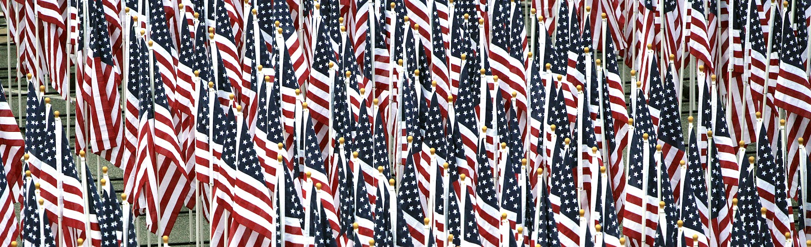 Wounded Times: "They get away with it because it’s a hero charity"