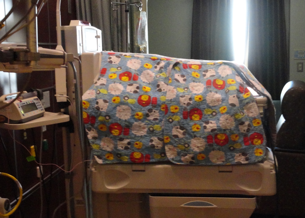 Pine Belt Quilters: NICU Tour
