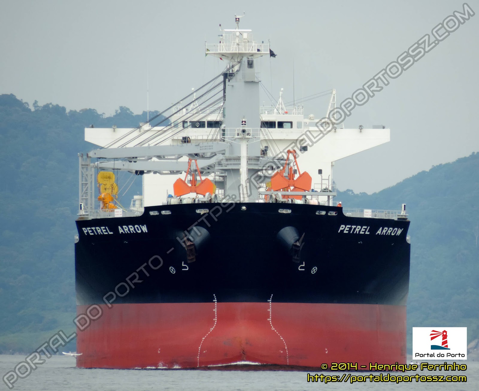 Petrel Arrow - Portal do Porto