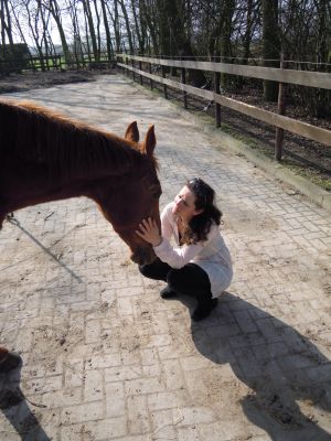 Engelen, Gidsen, Goden en Godinnen Reis