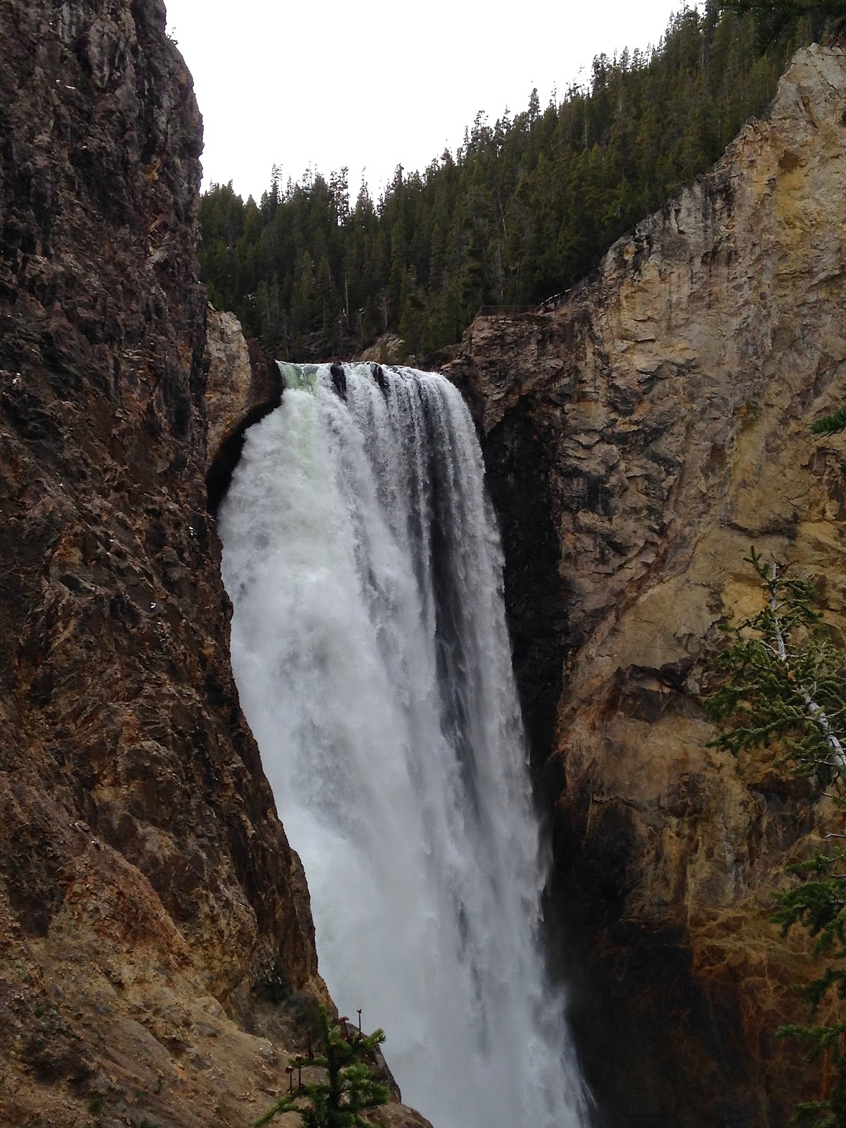WESTERN WYOMING: YELLOWSTONE FALLS