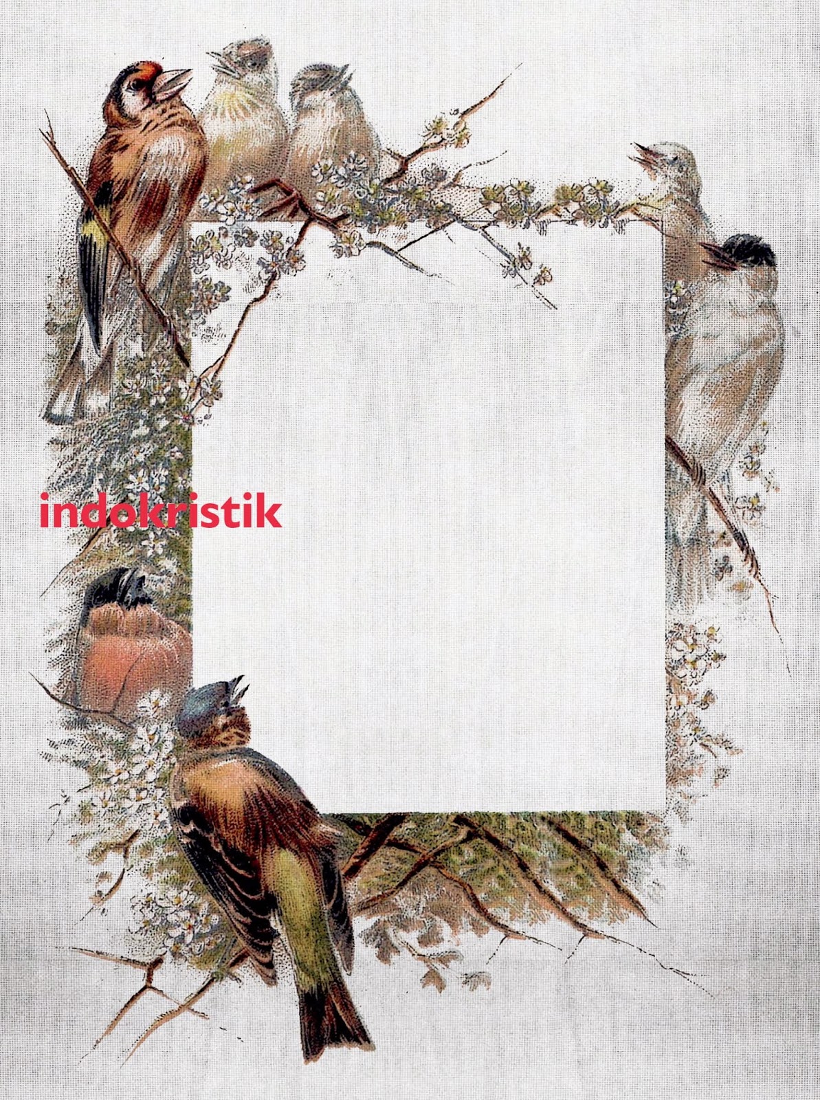 aida frame burung a1908 - indo Kristik: Indonesian Cross Stitch