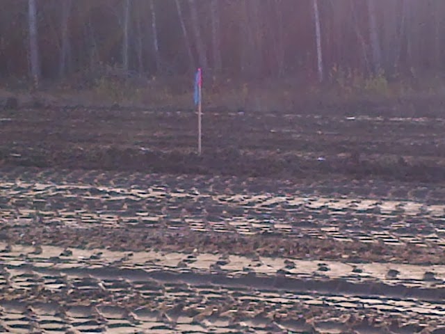 EAST WEST: MAKING THE GRADE