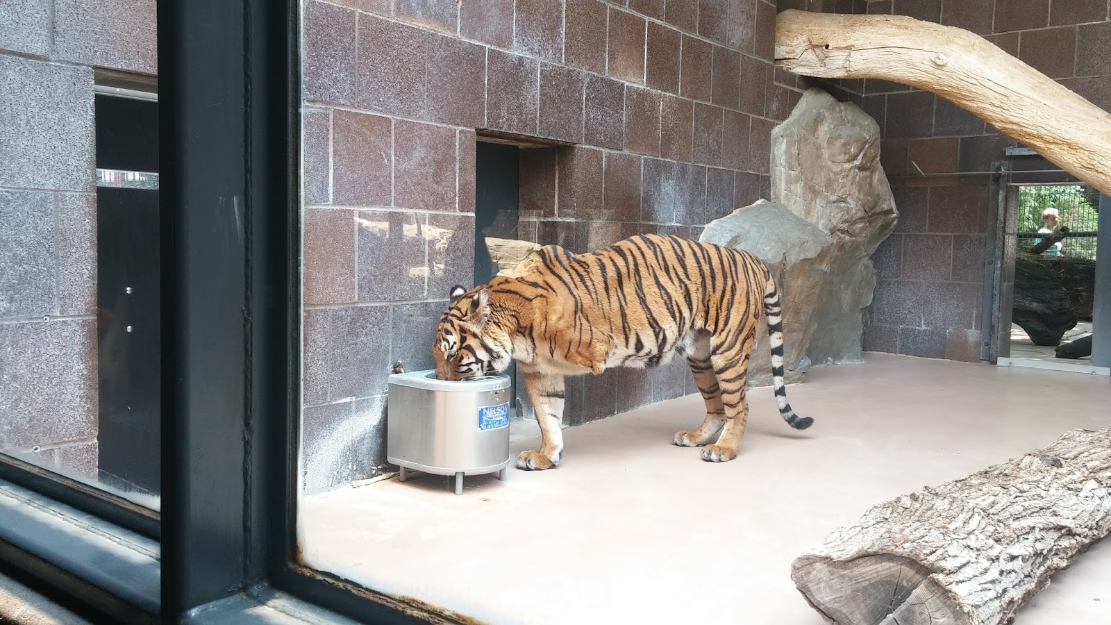 Henry Doorly Zoo Cat Complex