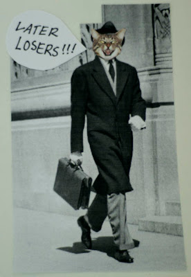 Kitten Kaboodle: Later losers.