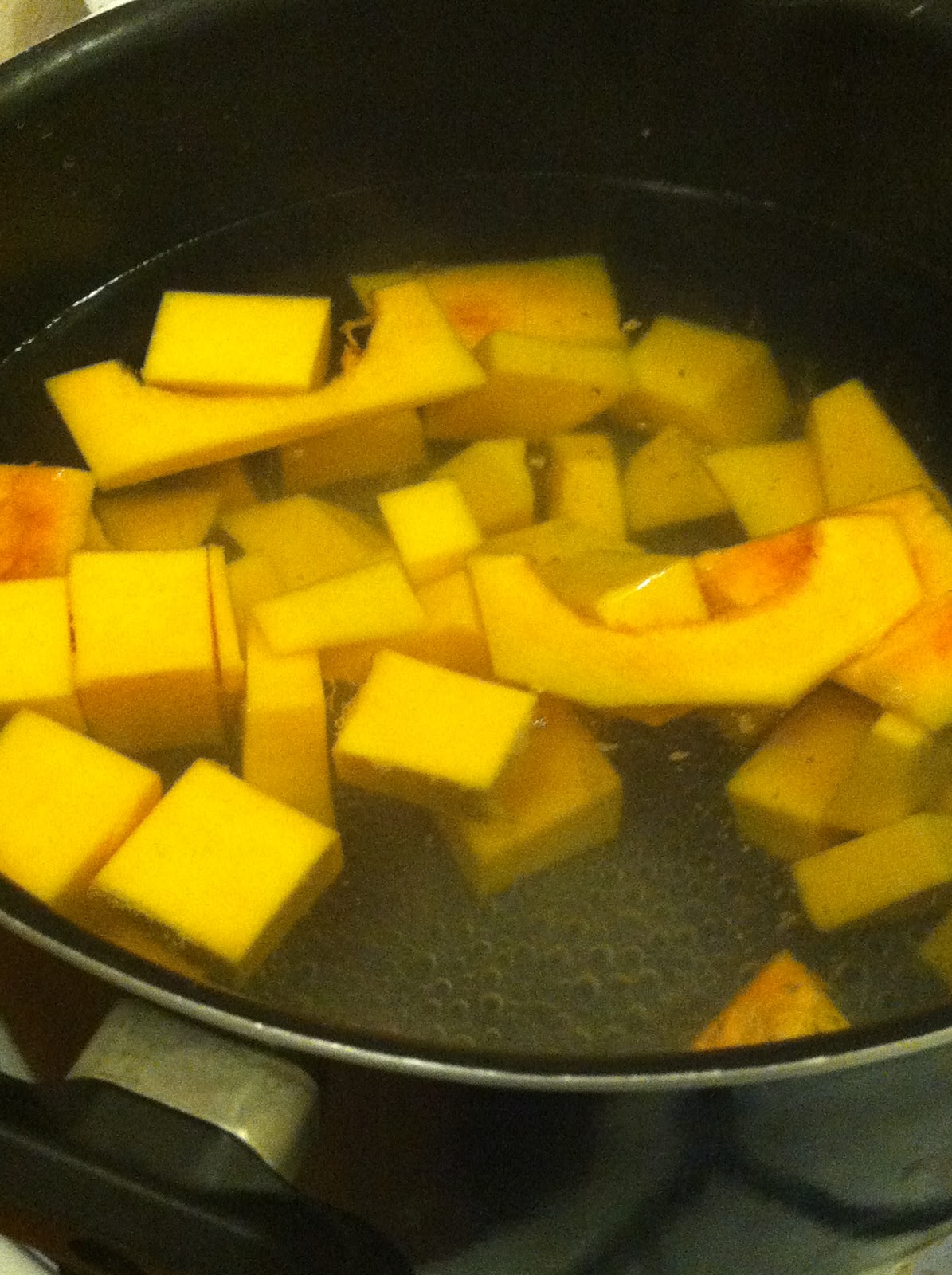 Gas Stove Girl: Parmesan and Herb Butternut Squash Sauce