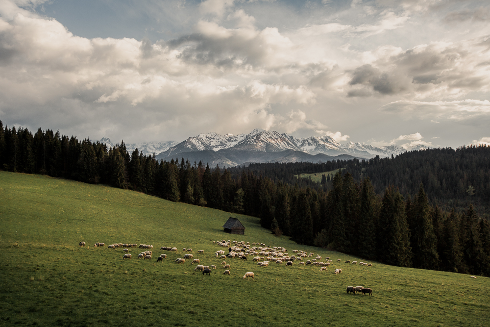 utrwalanie: PODHALE | TATRY