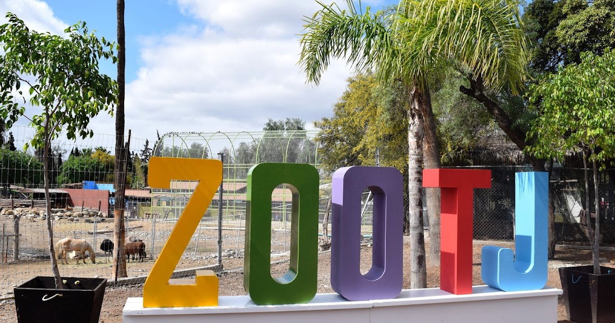 Quihubole!!!: ACREDITARÁN A ZOO DE TIJUANA COMO PROTECTOR DE ANIMALES ...