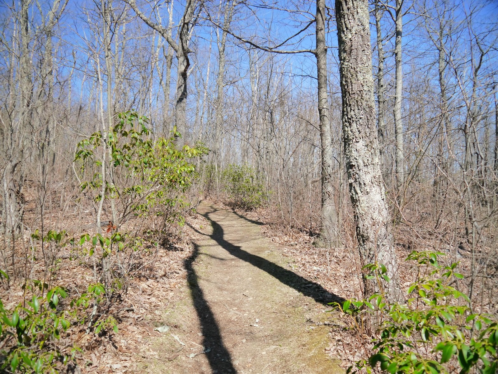 American Travel Journal: Riprap Trailhead to Blackrock Gap ...
