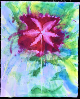 Sue Reno Studio: Experiments in SolarFast printing - part 5