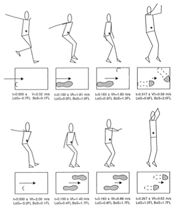 What are the optimal biomechanics for the overarm volleyball serve?: Answer