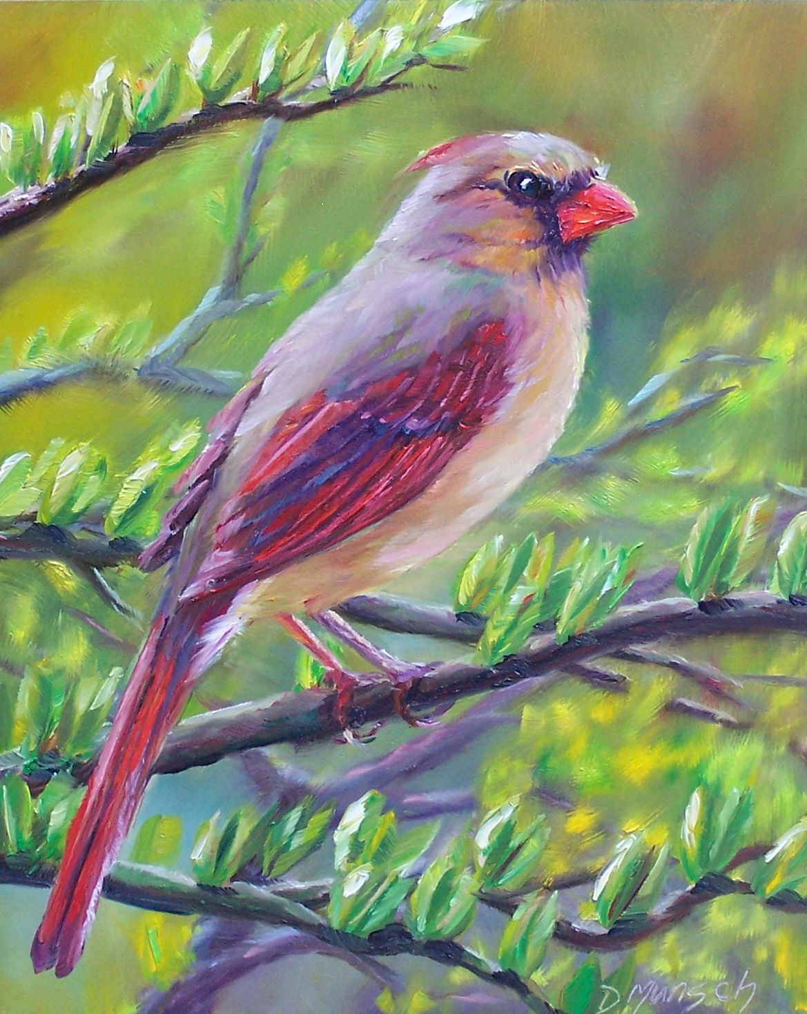Donna Munsch Fine Art: Original Oil Painting Female Cardinal