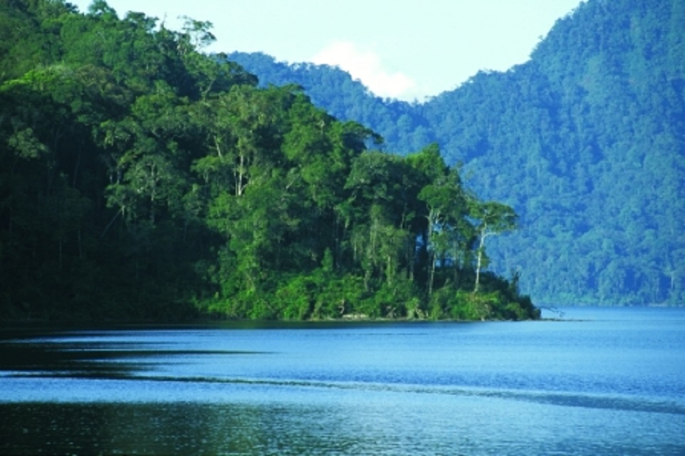 5. Hutan Bukit Barisan – Sumatera