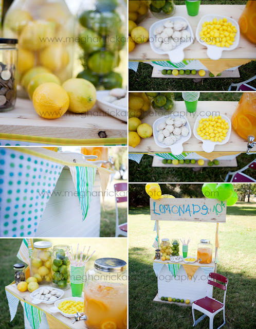 Meghan Rickard Photography: {{Tri-Cities, WA Mini-Sessions}} Lemonade ...