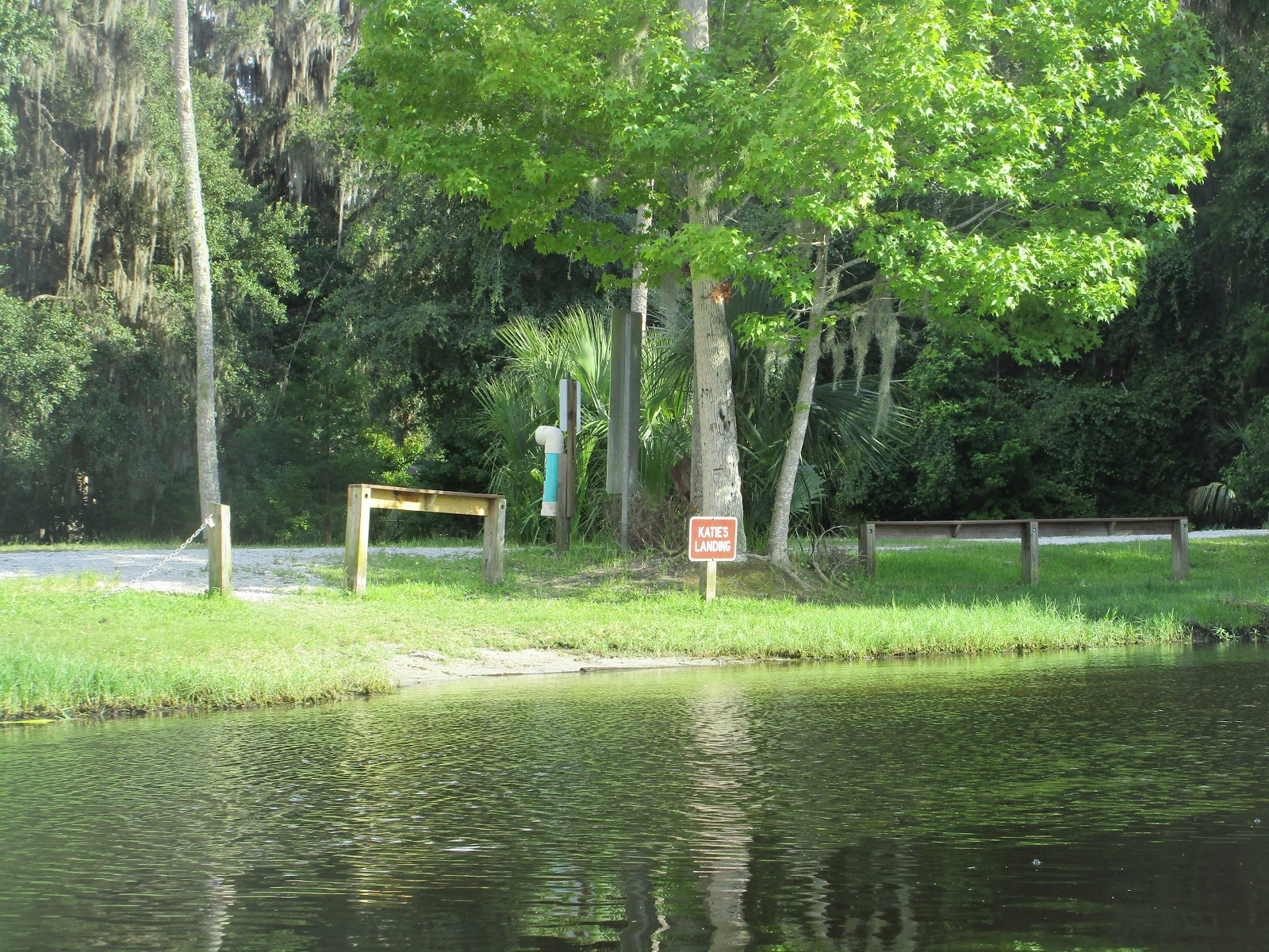 Dave's Yak Tales: Wekiva River and Blackwater Creek