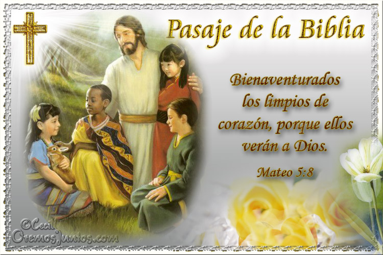 Vidas Santas: Santo Evangelio según san Mateo 5:8