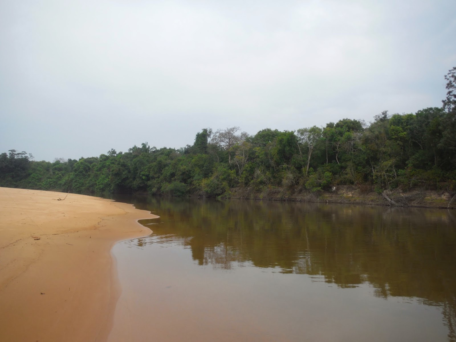 Espacio de Pesca: Pesca payara en el Rio Yucao y Manacacias, Puerto ...