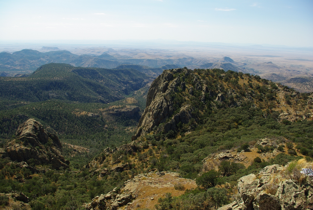 Here and There//Texas/New Mexico: Mt Livermore, Davis Mountains: Texas' #2