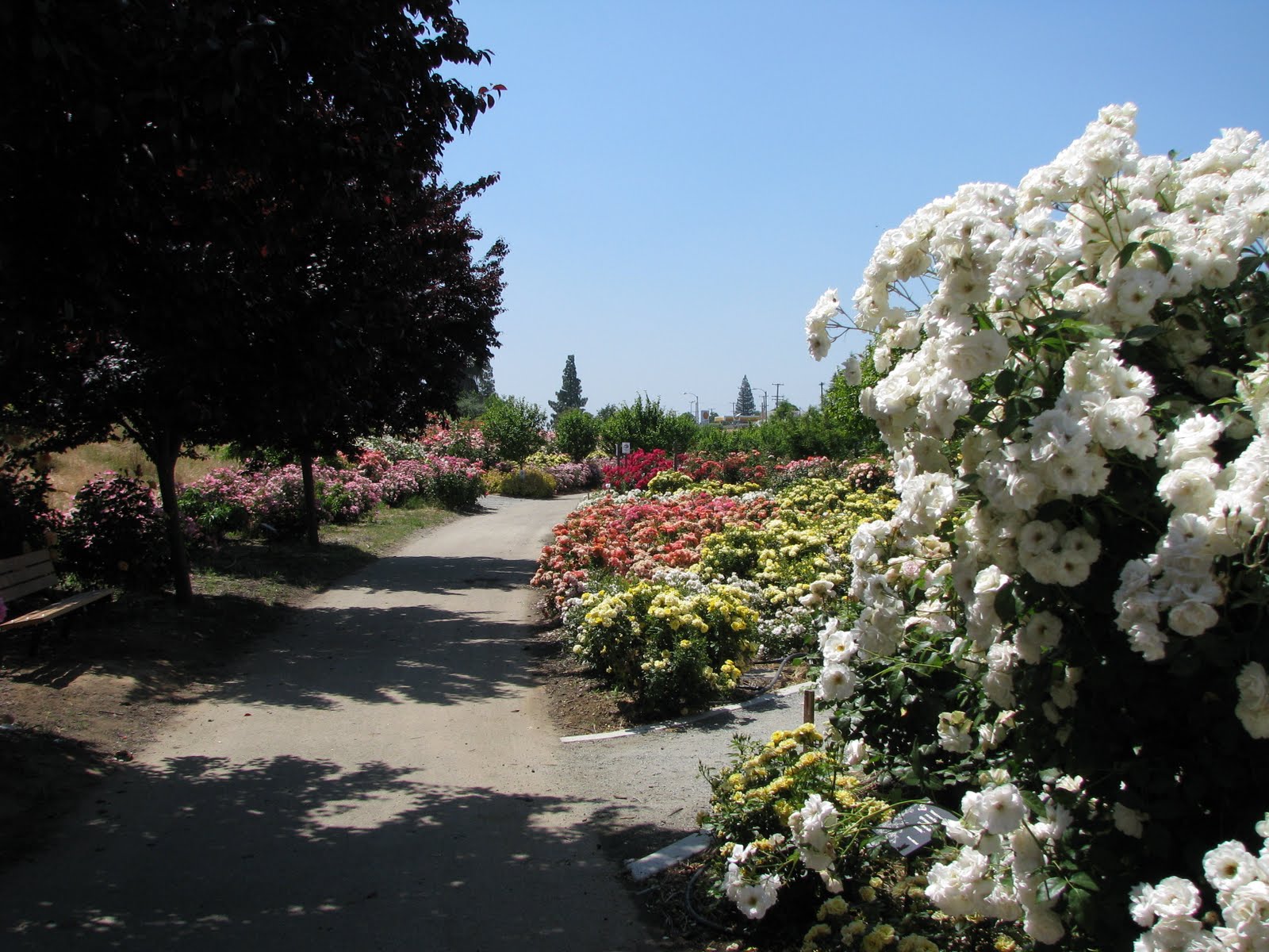 May 12-14, 2011 – Woodlake and Fresno, CA