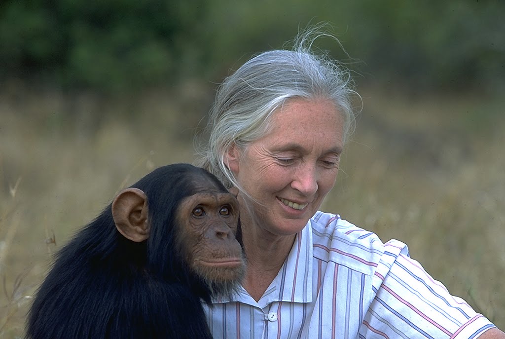 El Juramento: Jane Goodall. Su lucha por los Chimapancés y el Mundo Natural