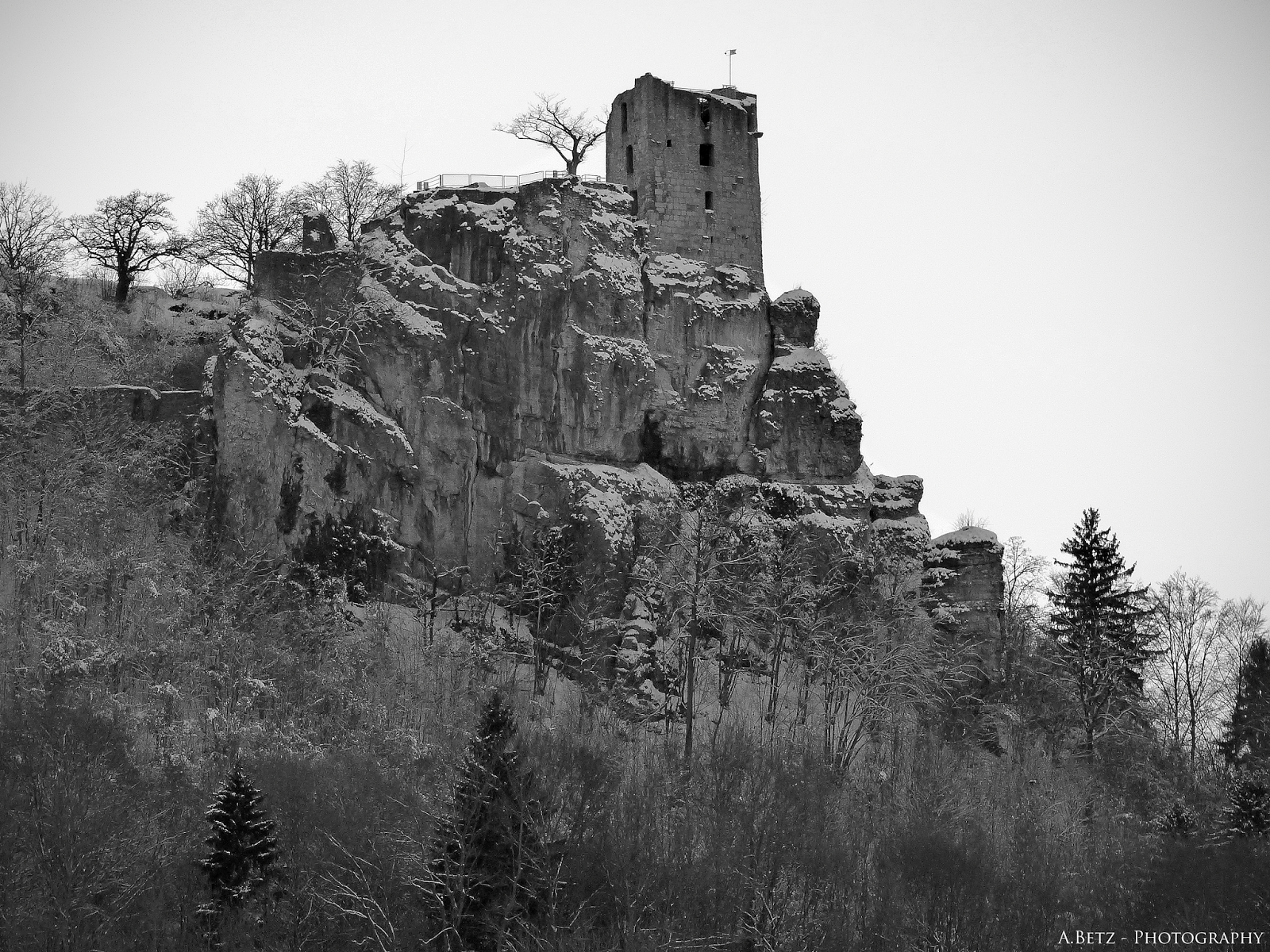 Augenblicke Fotografie: Rund um die Burgruine Neideck